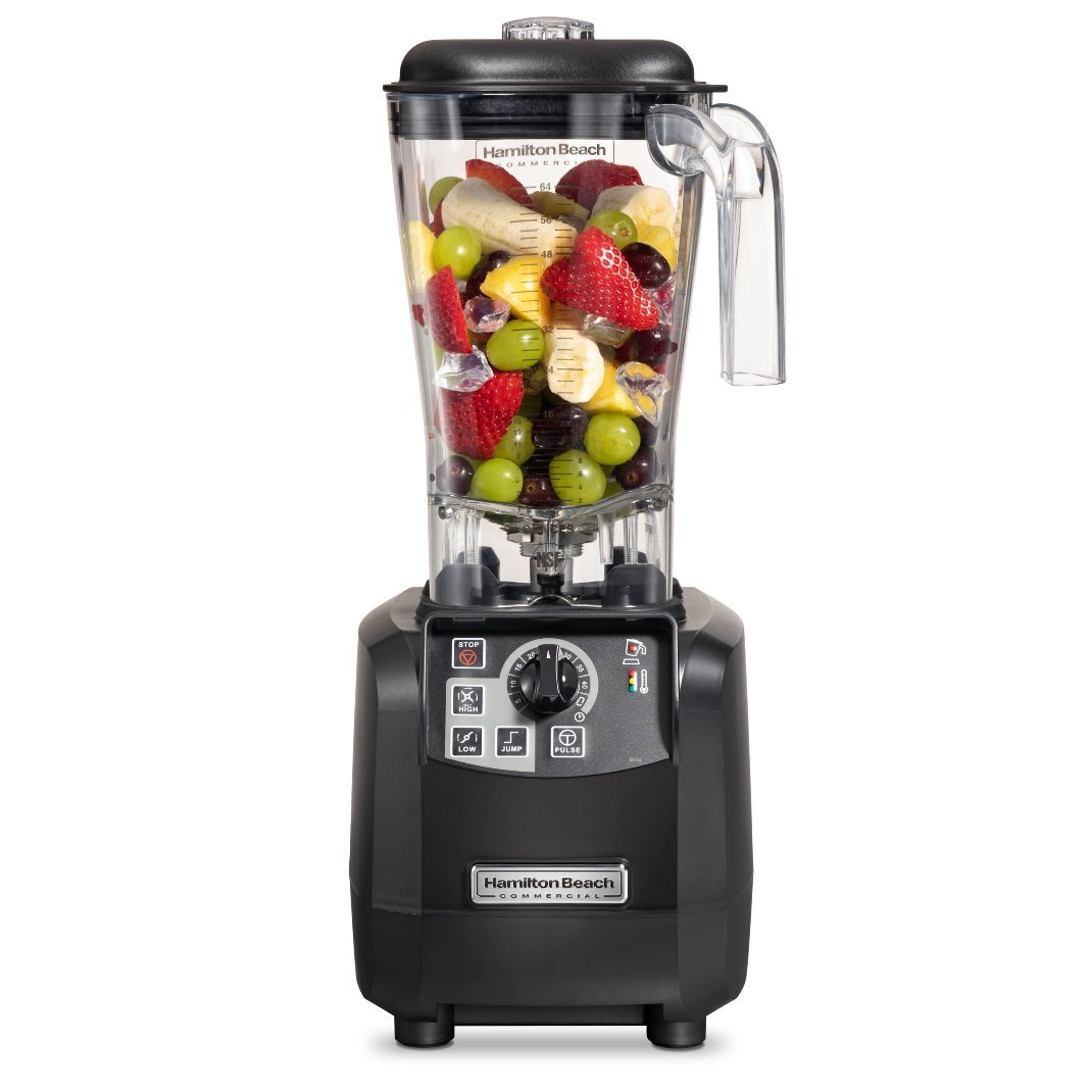 Heavy-Duty Hamilton Beach 2L Ice Blender – Carlyle Engineering